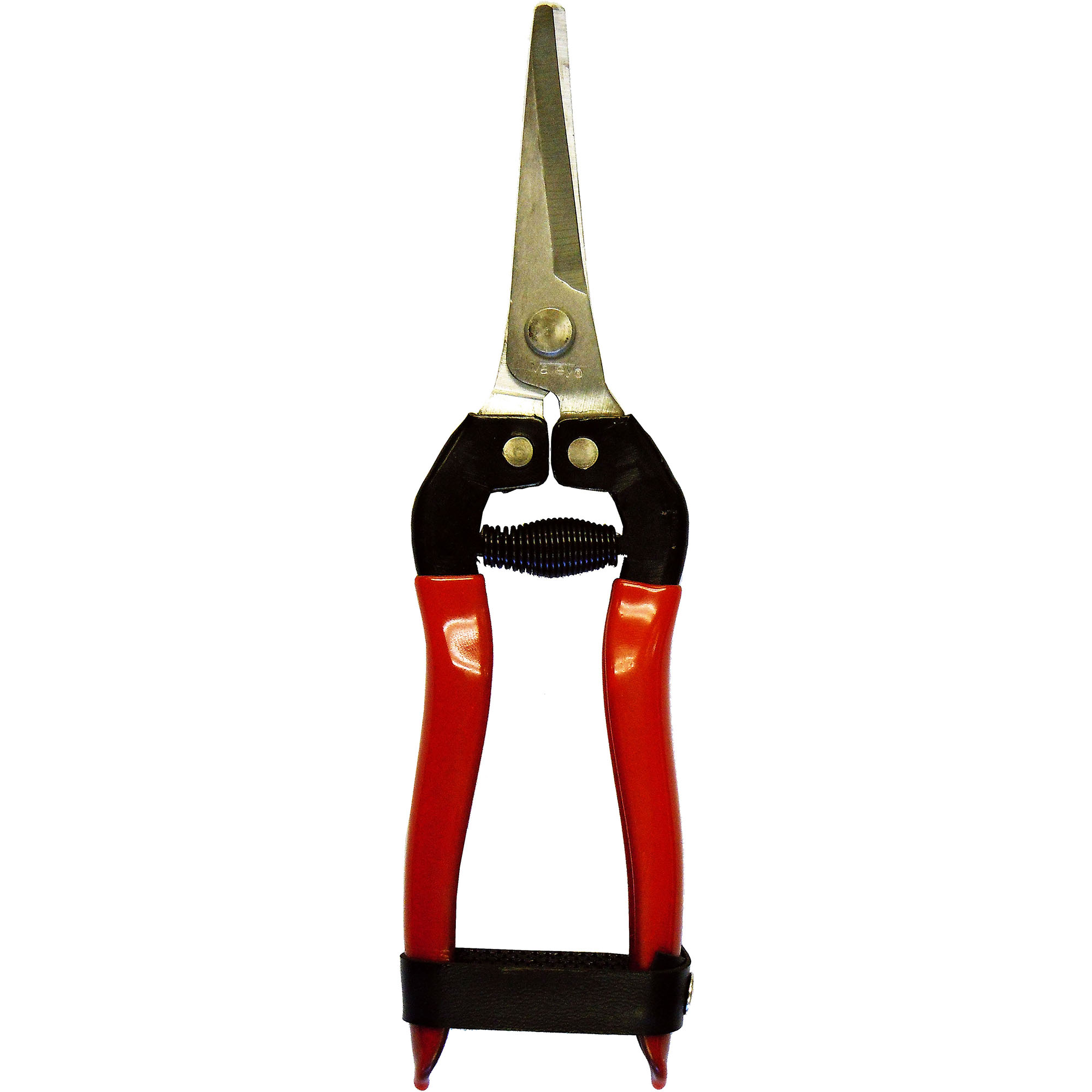 8" CURVED GRAPE SHEAR, STAINLESS STEEL - Valley Industries Corporation