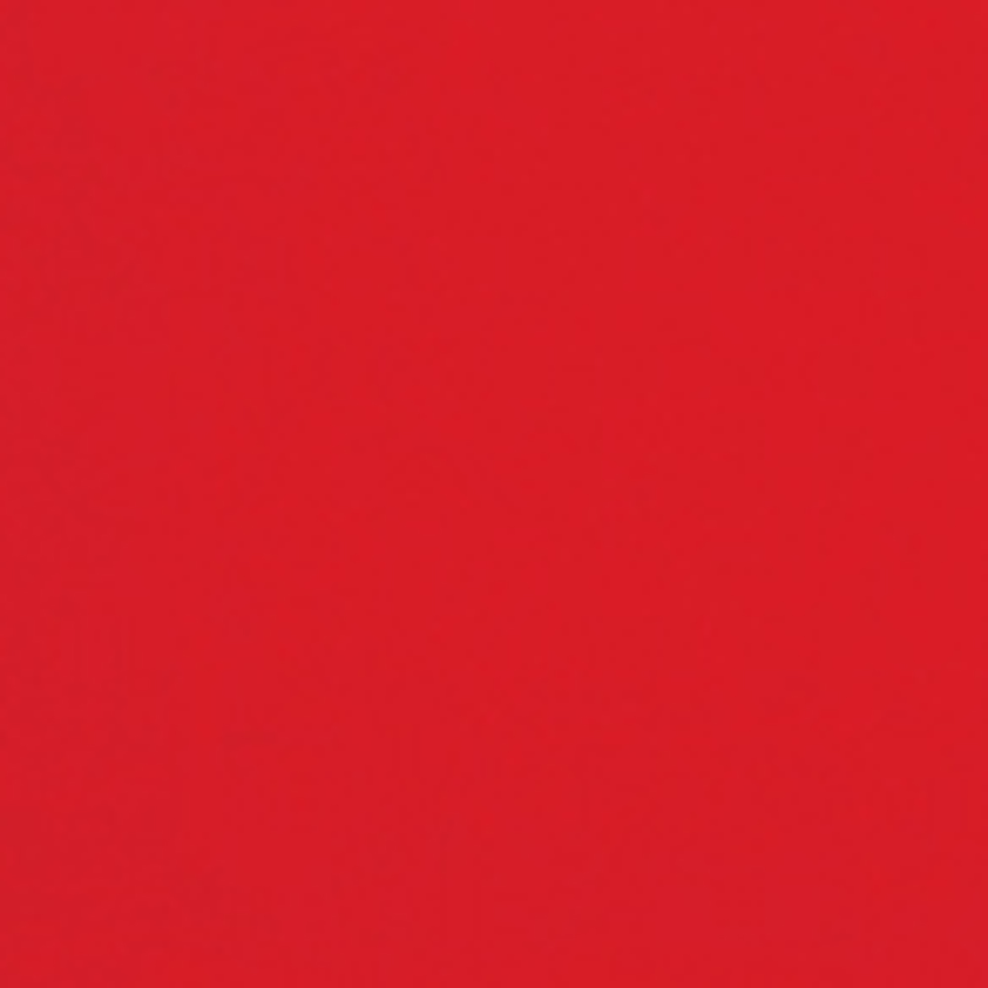 17 OZ INVERTED PAINT - FLUORESCENT RED - Valley Industries Corporation